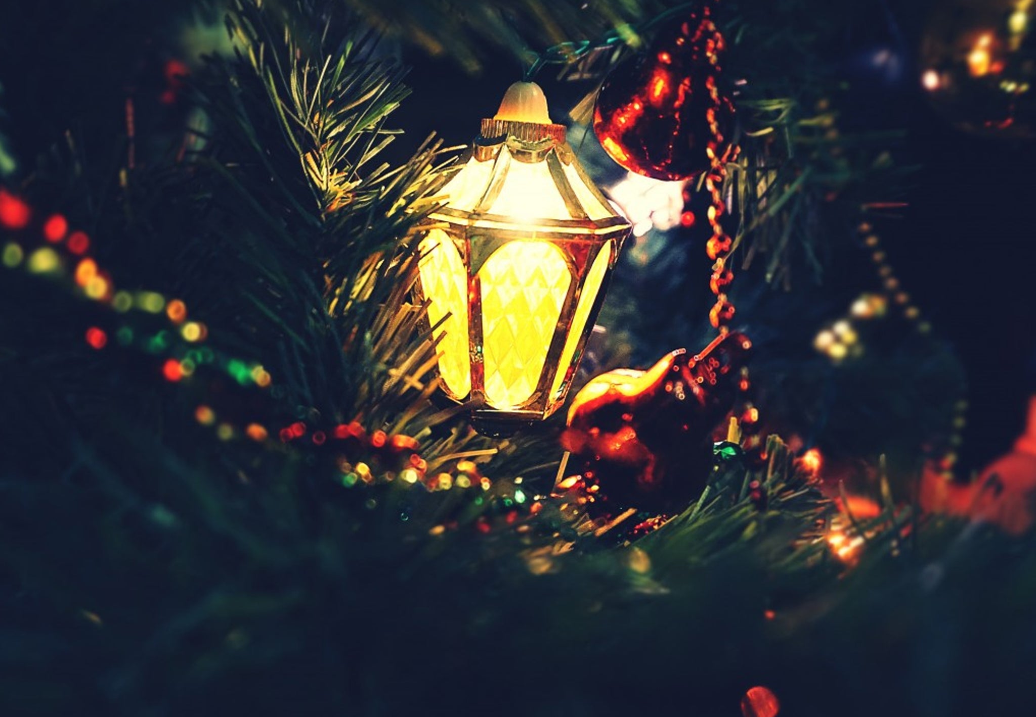Illuminate Your Holidays: A Guide to Festive LED Lighting for December