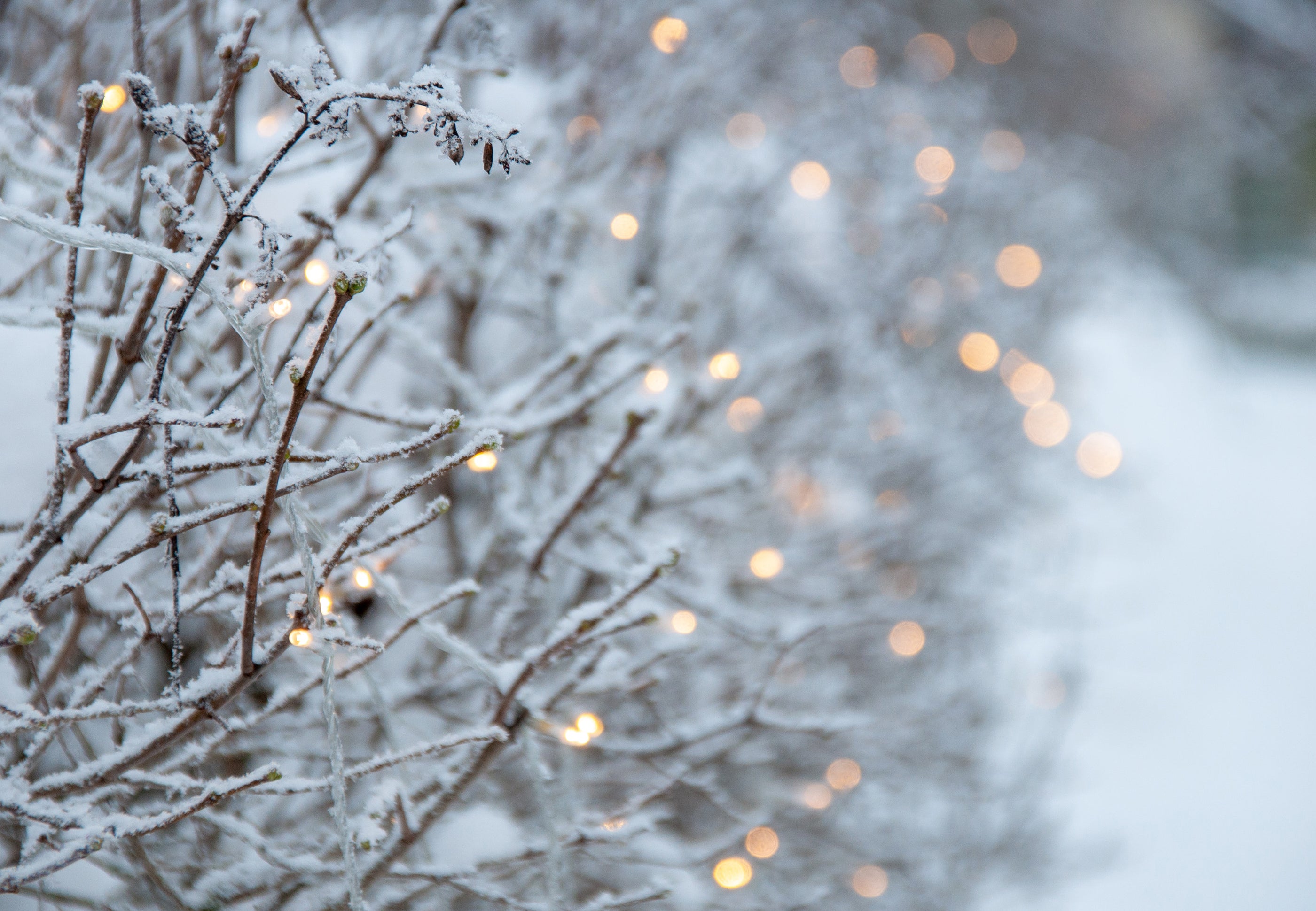 Light Up Your Winter Nights: Transforming Your Space with LED Magic in